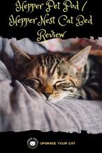 Hepper Pet Pod / Hepper Nest Cat Bed Review - Upgrade Your Cat