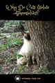 Why Do Cats Isolate Themselves? (The Two Main Reasons Why They Do This ...