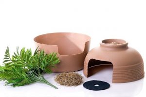 The Hidden Cat Litter Tray That Looks like a Plant (Realistic and ...