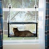 A Look at The Best Cat Window Perches for Cats - Upgrade Your Cat