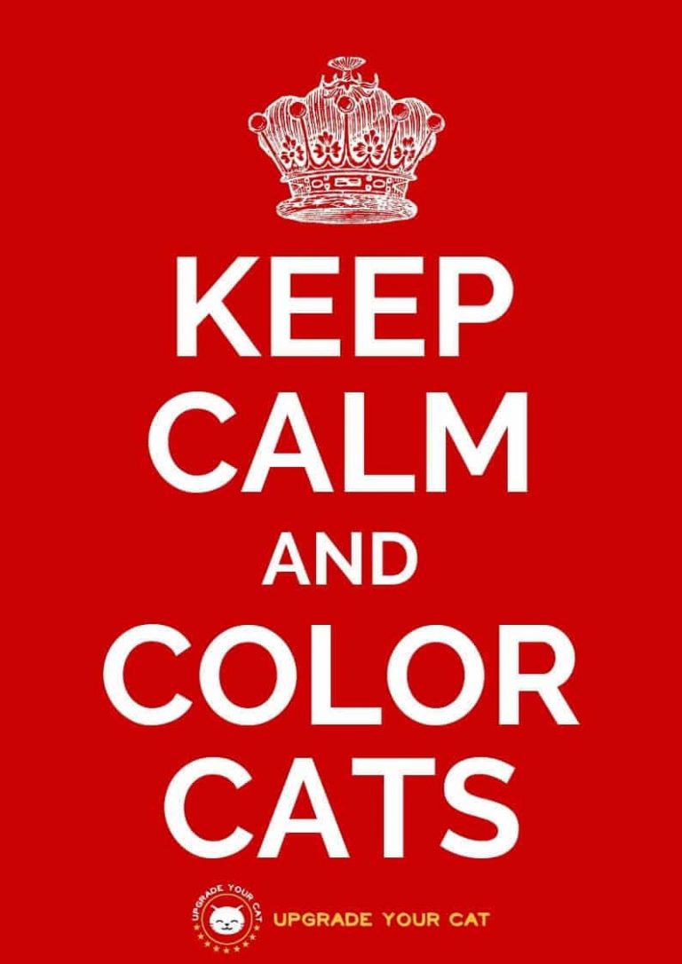 Cats Coloring for Mindfulness: A Fun Way to De-Stress