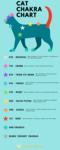 Cat Chakra Chart: A Look at a Cat's Chakra System - Upgrade Your Cat