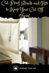 Cat-Proof Blinds: Plus Tips to Stop Your Kitty Damaging Your Blinds ...