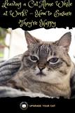 Leaving a Cat Alone While at Work? Safety Checklist - Upgrade Your Cat