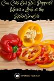 Can Cats Eat Bell Peppers? (Why & How) - Upgrade Your Cat