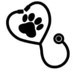 Panacur For Cats Dosage Chart | Liquid & Paste Explained