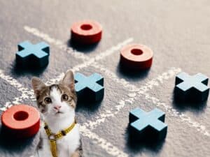 Why Is a Tie Game in Tic-Tac-Toe Called a Cat's Game?