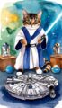 100+ Star Wars Cat Names That Will Awaken the Furce in Your Feline