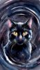 77+ Evil Cat Names That Will Make You Chuckle Nervously