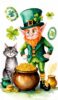 100+ Irish Cat Names That Will Make Your Feline Say Top O' The Mornin'