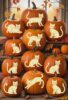 9 DIY Pumpkin Cat Crafts for Halloween and Fall You’ll Love Making